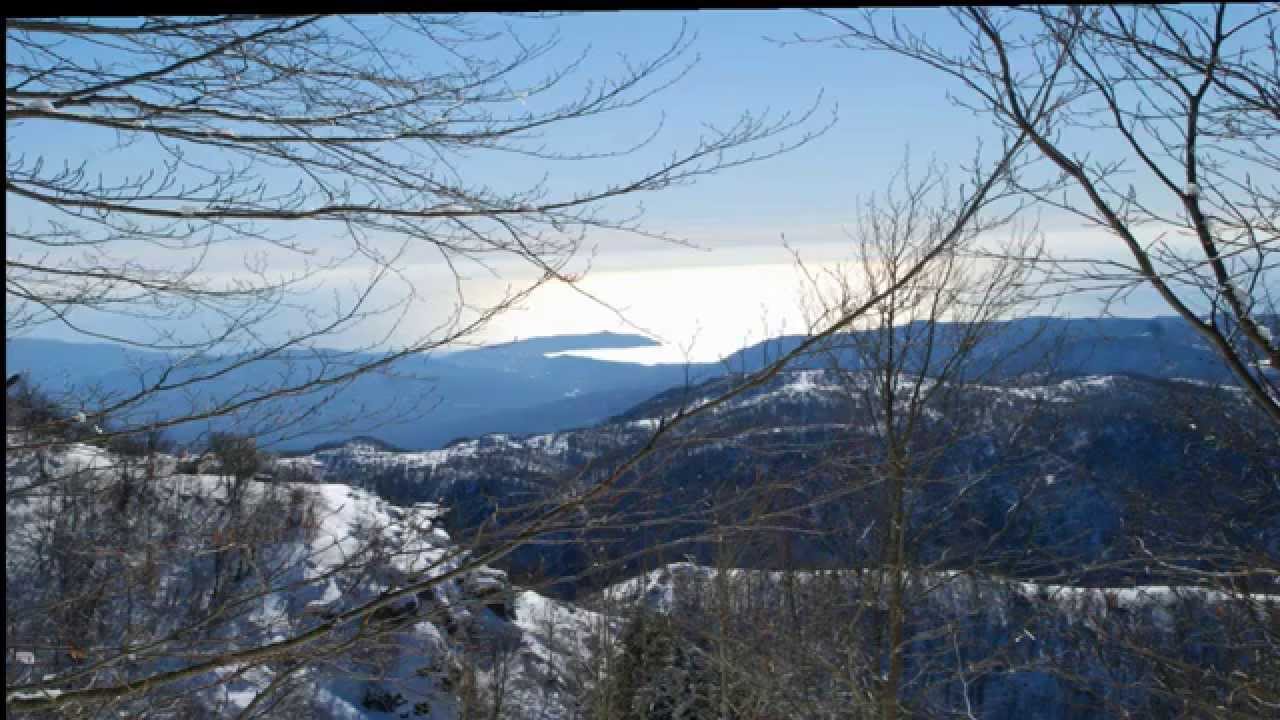 Santuario della Madonna del Monte, Musei e Architettura a Novi Velia ...